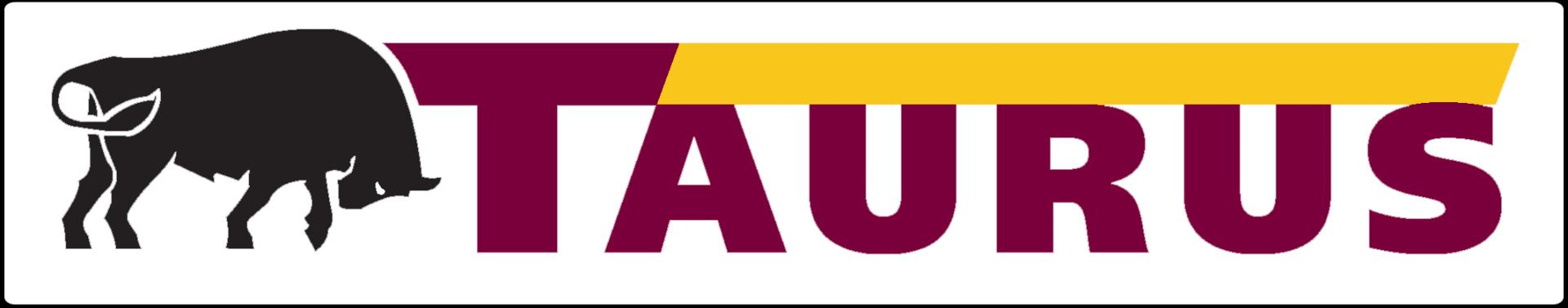 Pneu Taurus : Achat pneu Taurus pas cher en ligne - BestDrive